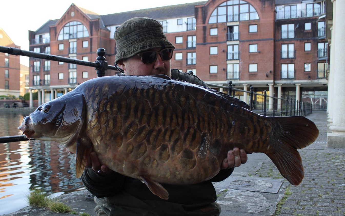 Welsh fully | Total Carp